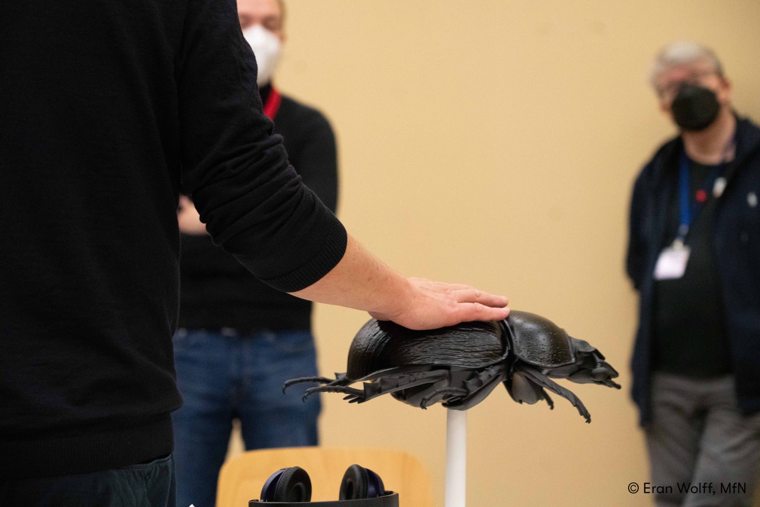 Dor beetle | Responsive tactile model – werk5